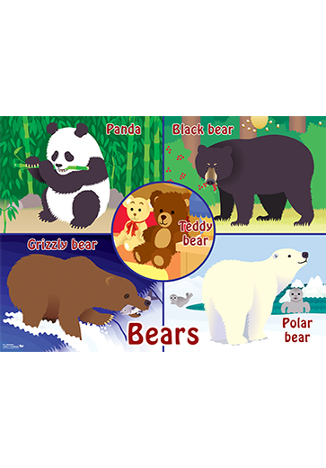 Early Years Themes Posters: Animals | General | Nursery, Reception ...