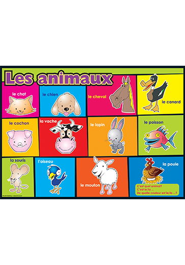 French Vocabulary Posters | General | Year 3 / Primary 4, Year 4 ...