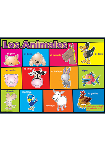 Spanish Vocabulary Posters | General | Year 3 / Primary 4, Year 4 ...