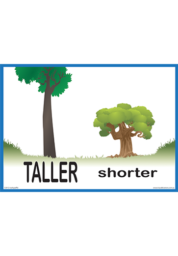 Word Walls Posters: Set 1 | Maths Resources | Prim-Ed