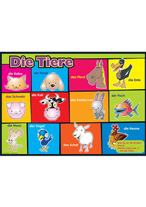 German Vocabulary Posters | General | Year 3 / Primary 4, Year 4 ...