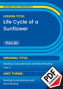 Life Cycle of a Sunflower | English | Year 3 / Primary 4