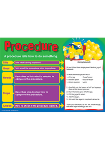 Introducing Text Types Posters | English | Year 3 / Primary 4, Year 4 ...